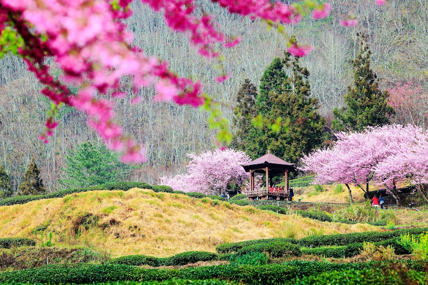 Which season is the best to visit Taiwan? | Vietjet Air