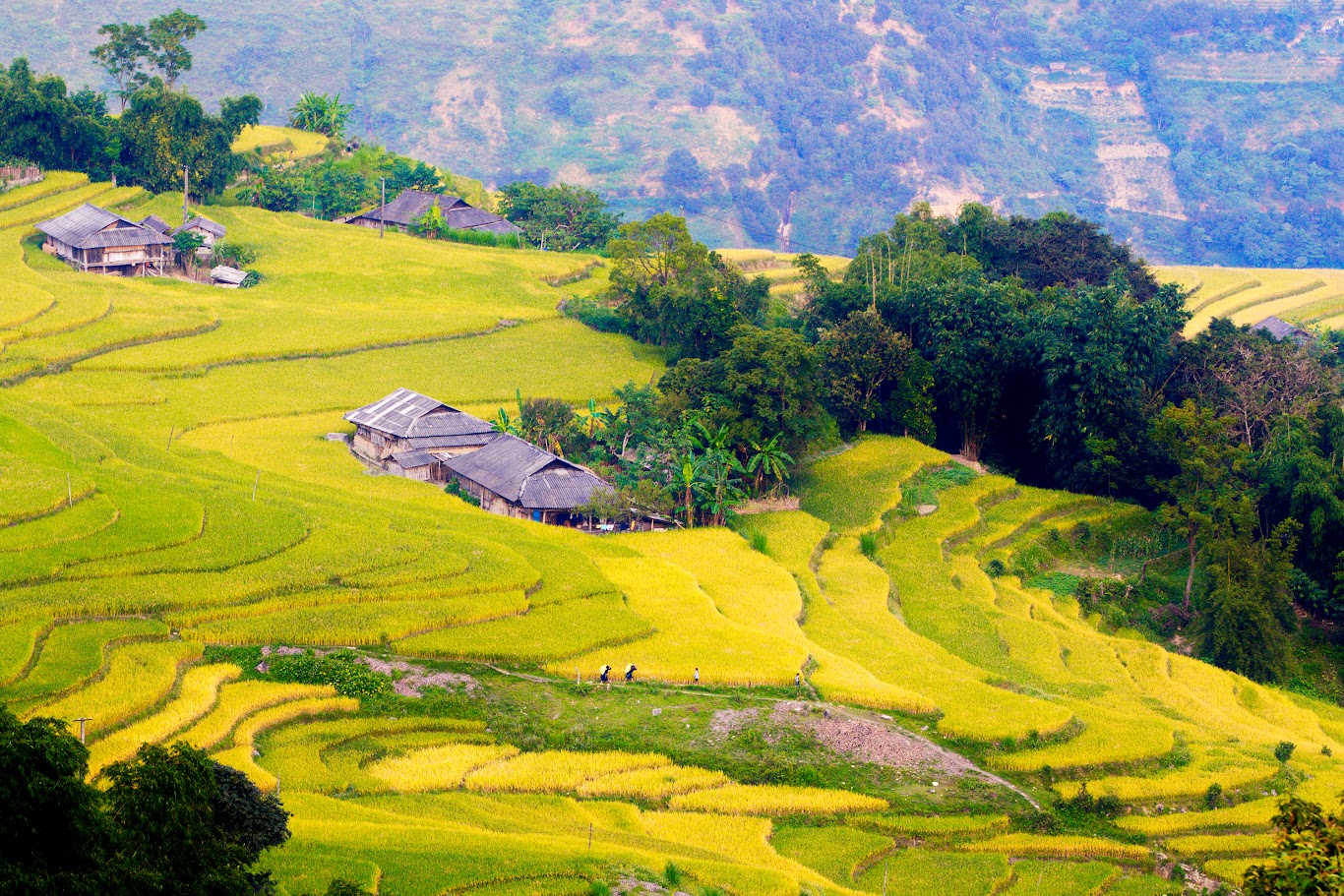 Vietjet Air | Bay là thích ngay! | Website chính thức