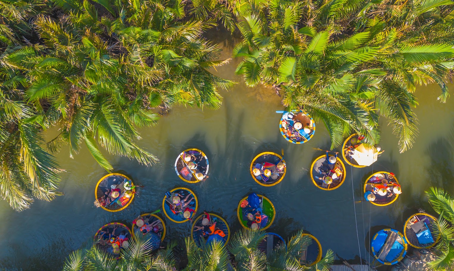 Experience Visiting Bay Mau Coconut Forest, Hoi An | Vietjet Air