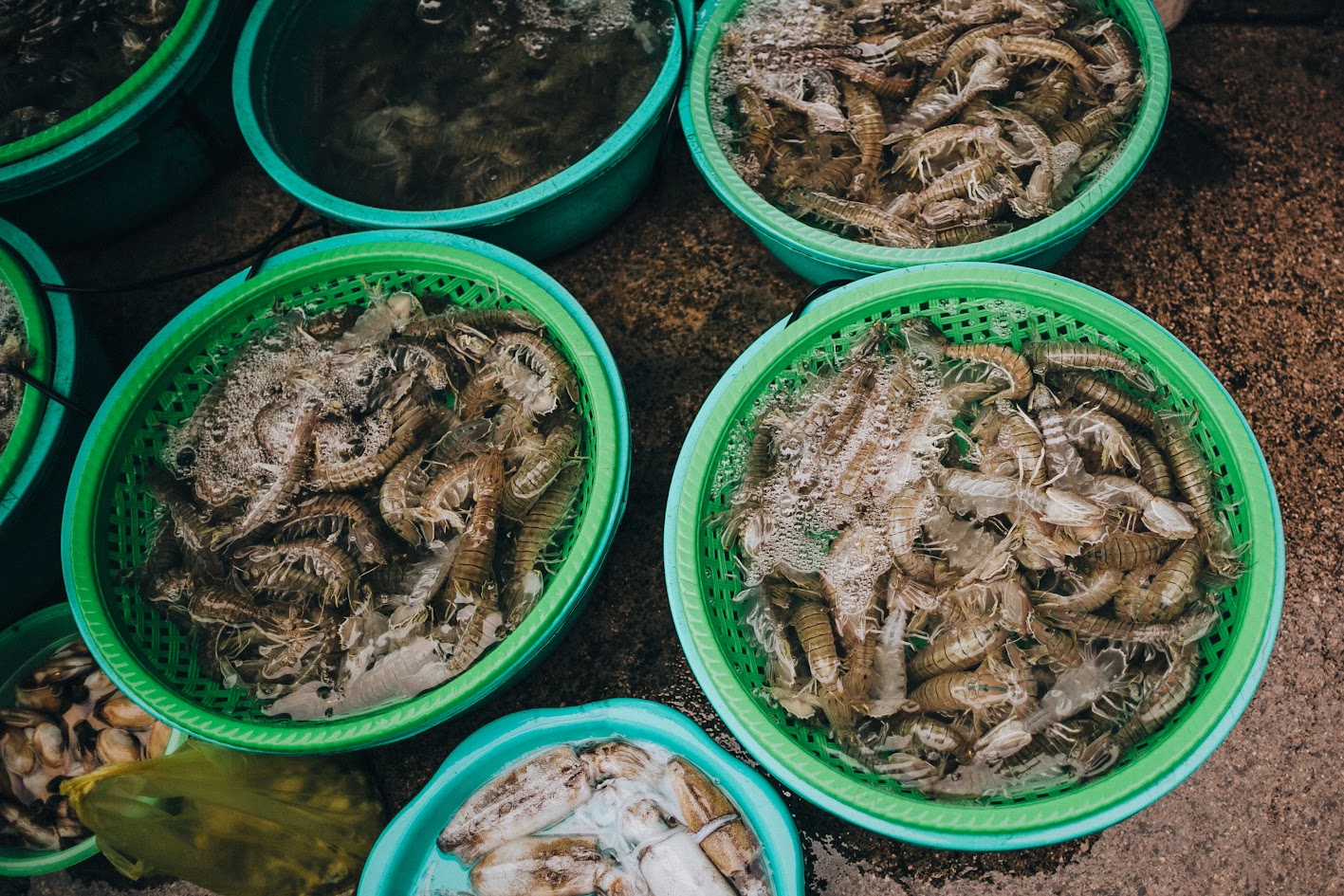 What to Eat at Ha Long Seafood Market? Insider Tips for the Best Buys ...