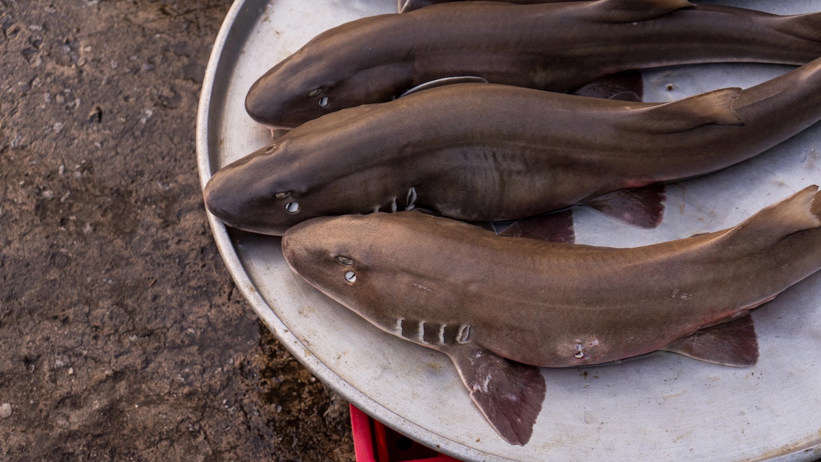 7 Specialty Foods from Phu Quoc to Bring Home as Gifts | Vietjet Air