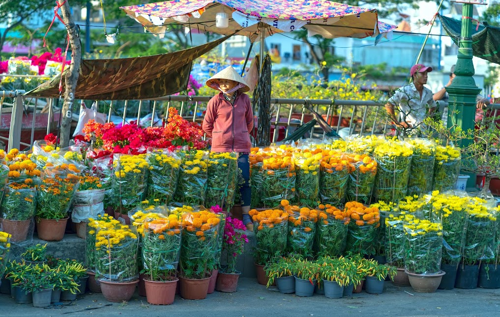 Stunning Tet Flower Markets in Ho Chi Minh City During Lunar New Year ...